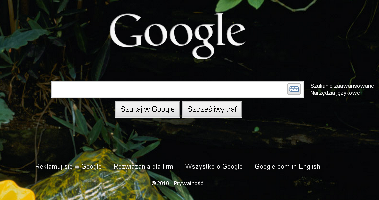 Jak usunąć tło w Google.pl? • SEO